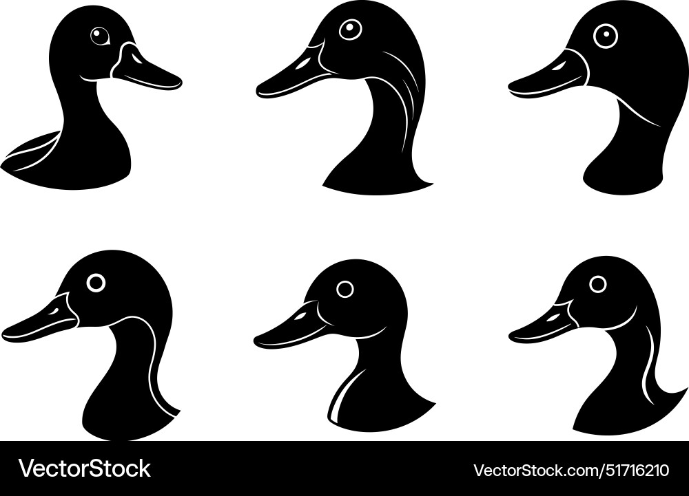 Drawing of a set ducks head silhouette Royalty Free Vector