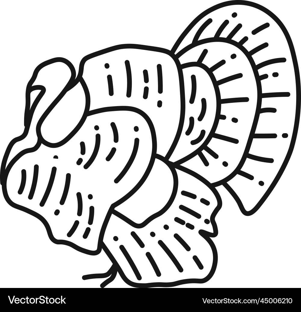 Turkey line icon domestic bird farm animal Vector Image