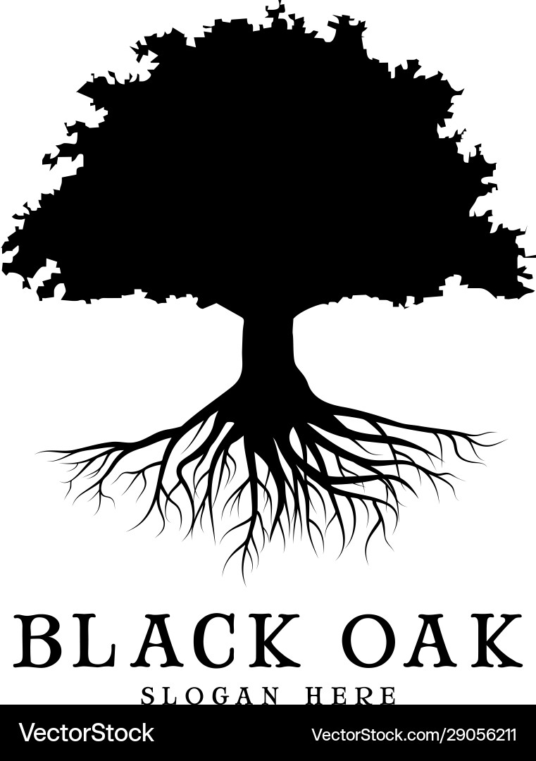 Black oak tree logo and roots design Royalty Free Vector