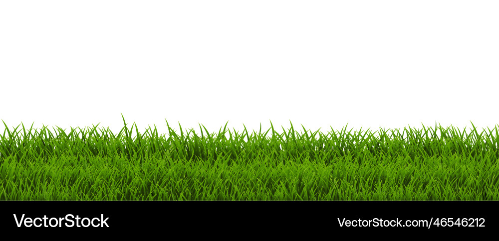 Green grass frame and white background Royalty Free Vector