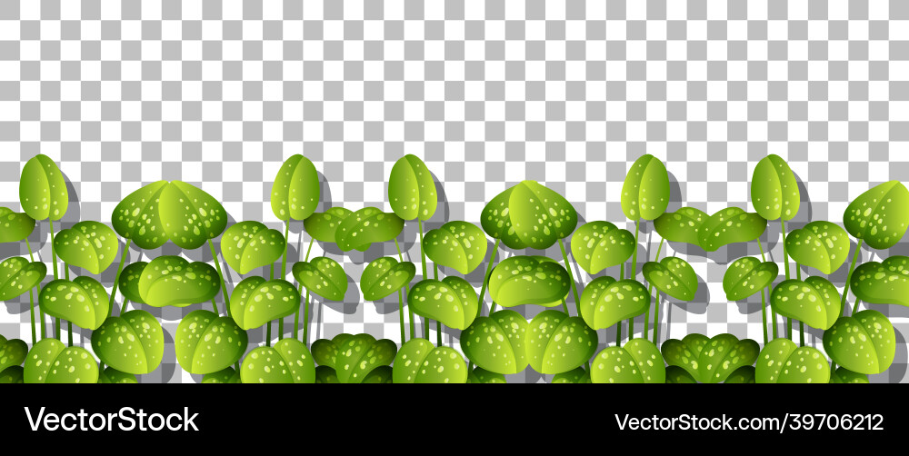 Green plants on transparent background Royalty Free Vector