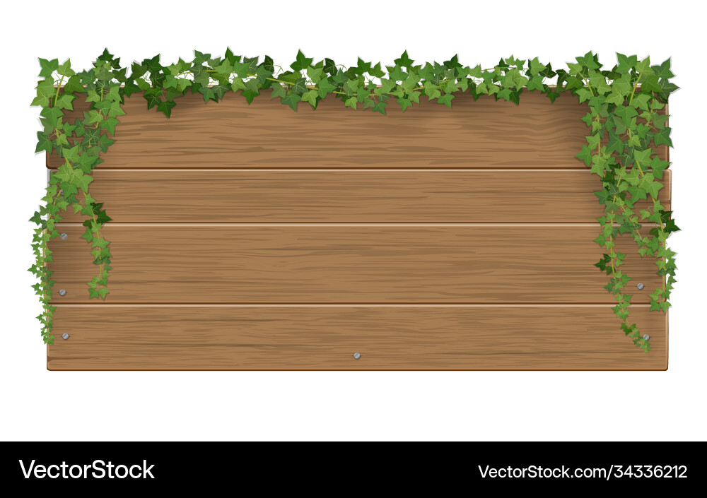 Wooden signpost covered ivy sticks Royalty Free Vector Image