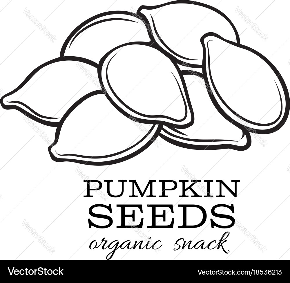 Pumpkin seeds Royalty Free Vector Image - VectorStock