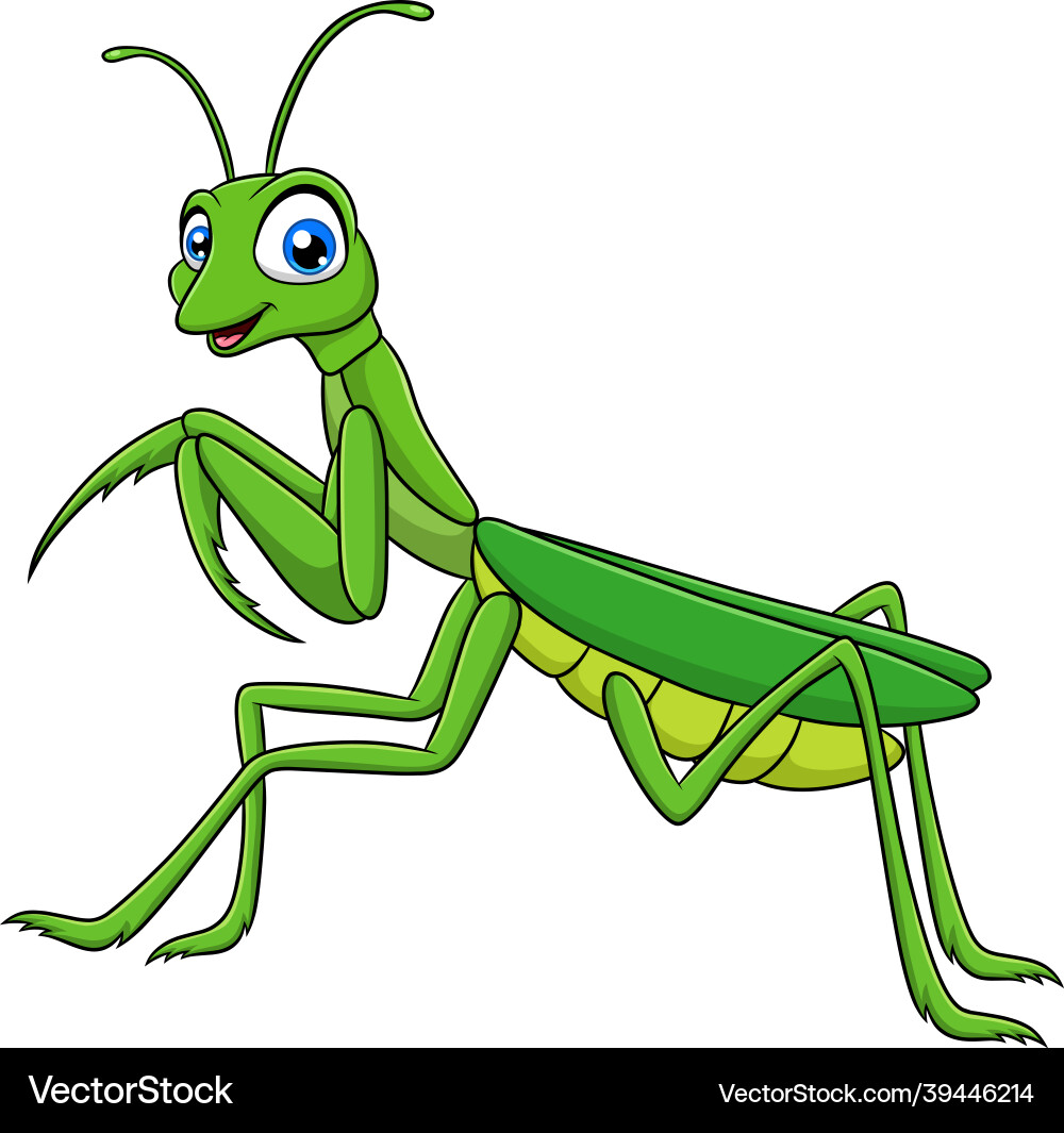 Cute mantis cartoon Royalty Free Vector Image - VectorStock