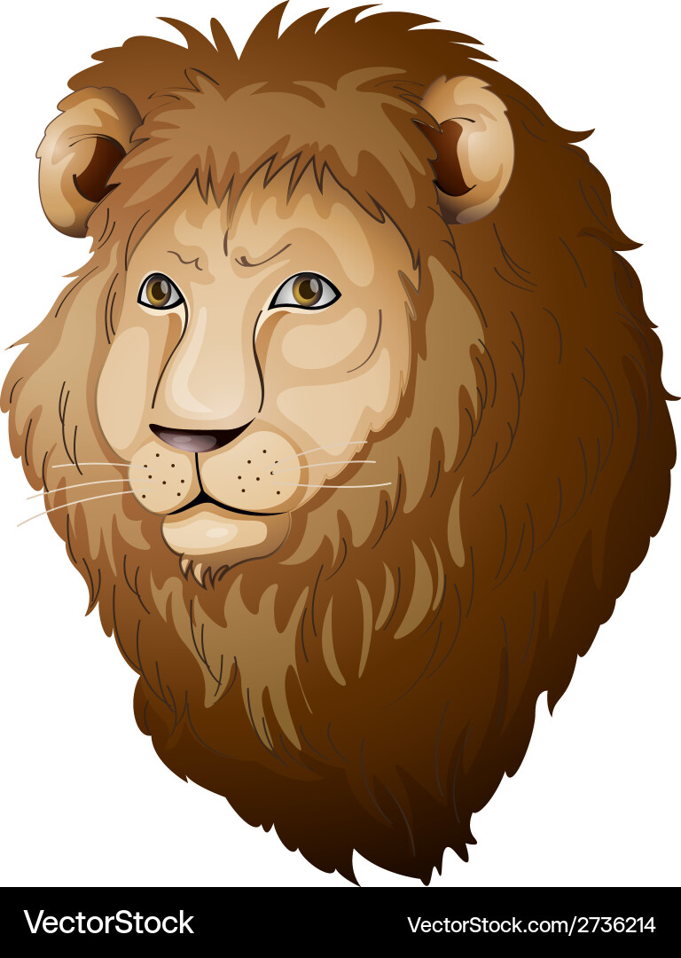Lion face Royalty Free Vector Image - VectorStock