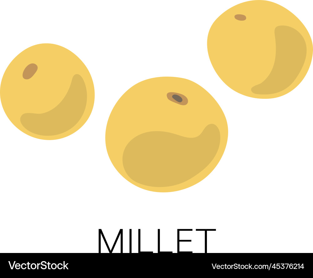 Millet seeds icon raw cereal grain symbol Vector Image