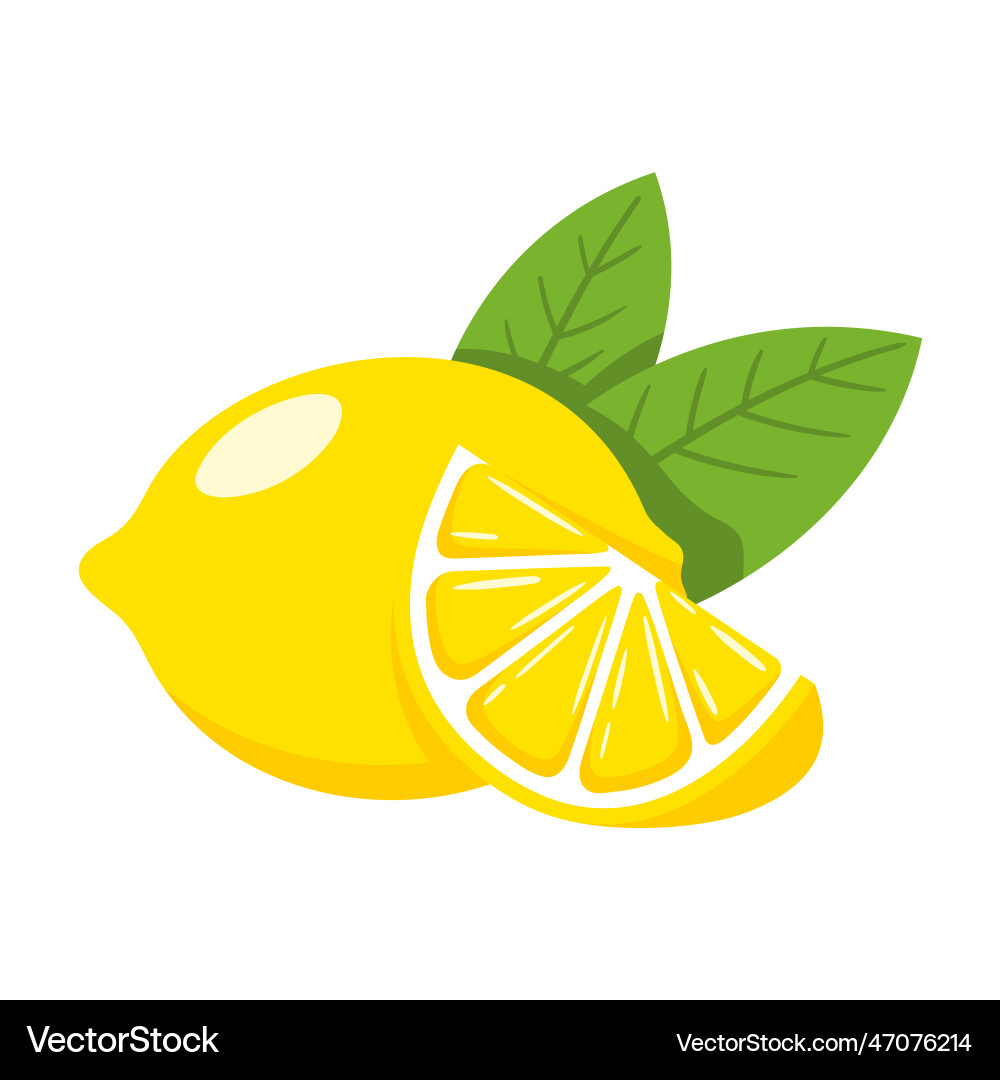 Yellow lemon isolated on white background Vector Image