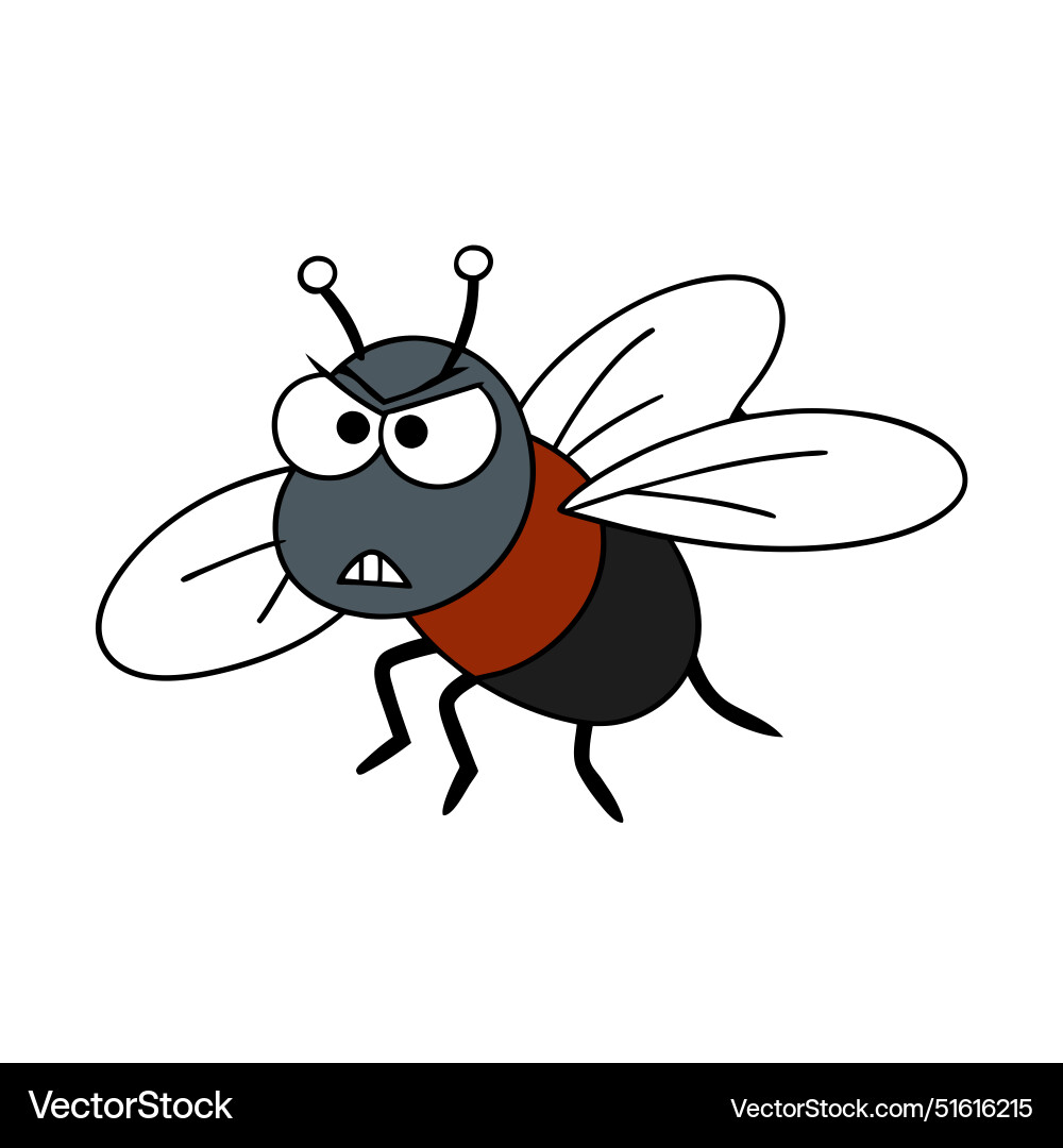 Blowfly angry icon Royalty Free Vector Image - VectorStock