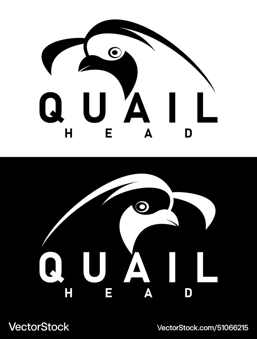 Quail head bird logo brand design Royalty Free Vector Image
