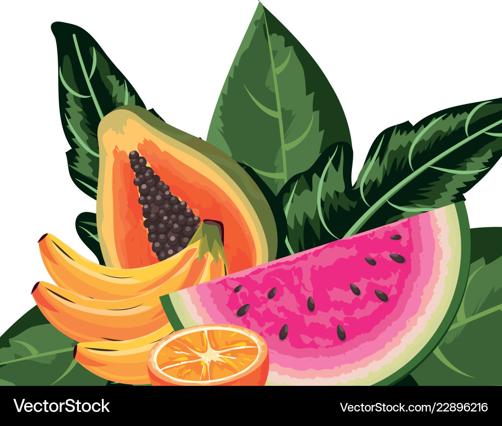 Tropical Fruit Cartoon Set Royalty Free Vector Image