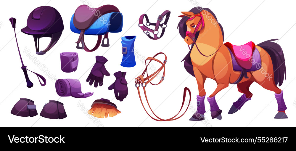 Equestrian items and brown horse Royalty Free Vector Image