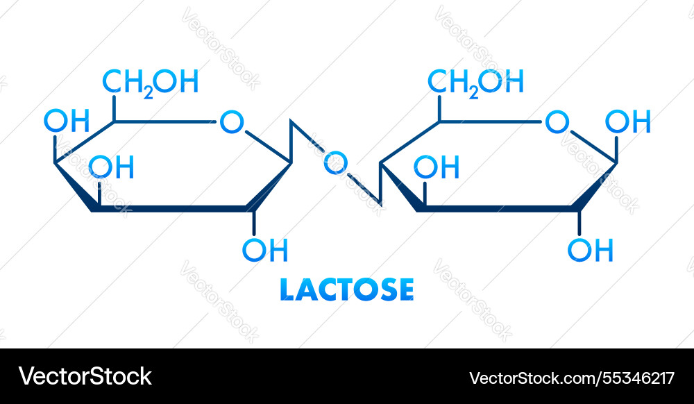 Lactose molecule structure consisting of galactose
