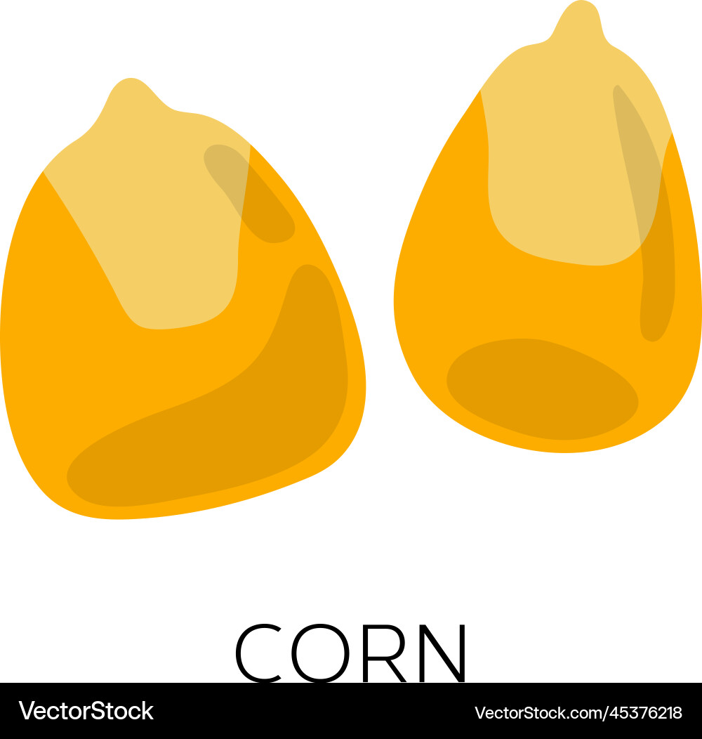 Corn seed icon raw maize harvest symbol Royalty Free Vector
