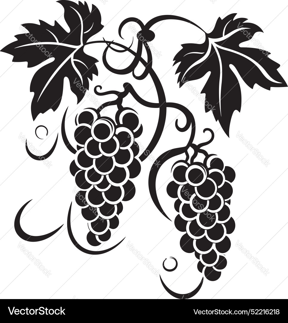 Vineyard fusion grapevine black iconic symbol Vector Image