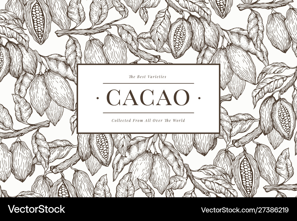Cocoa banner template chocolate beans Royalty Free Vector
