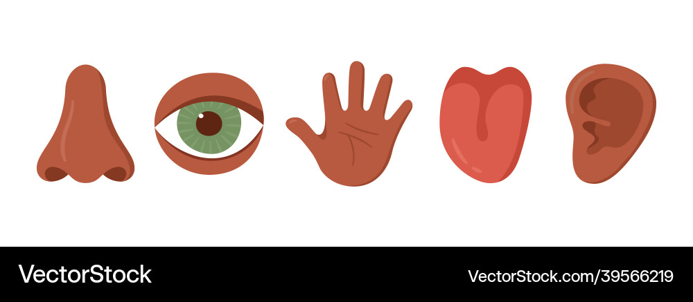 Five human senses organ set african americans Vector Image