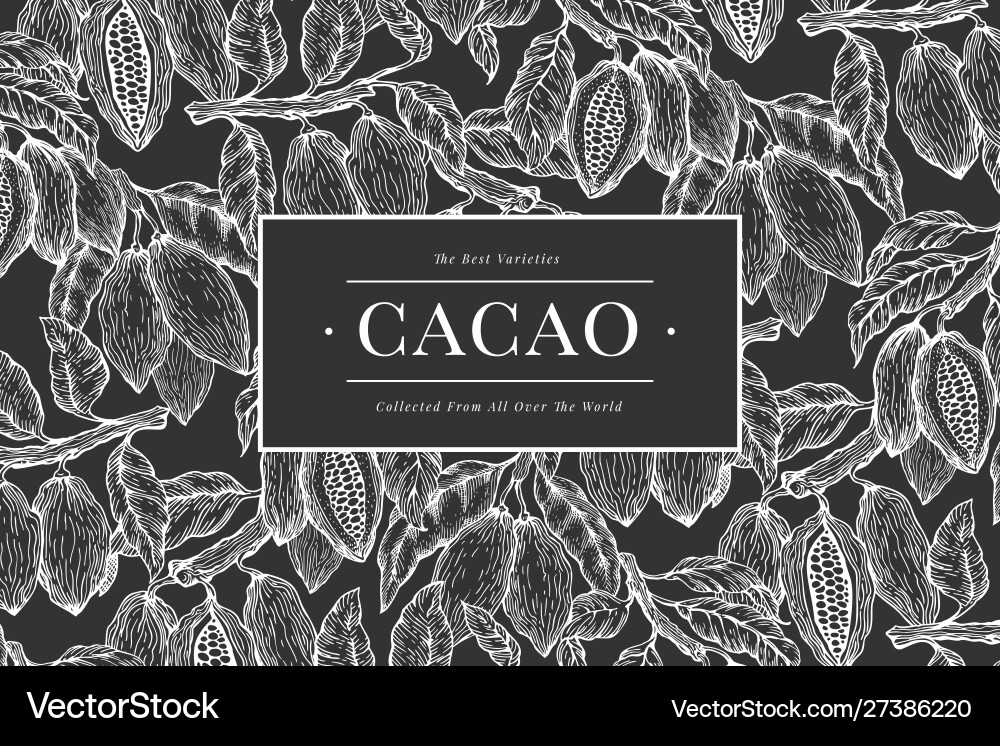 Cocoa banner template chocolate beans Royalty Free Vector