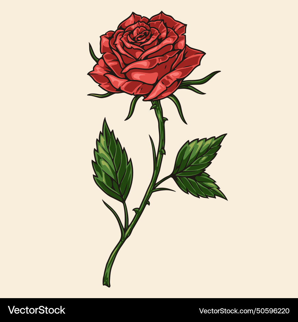 Flower rose detailed element colorful Royalty Free Vector
