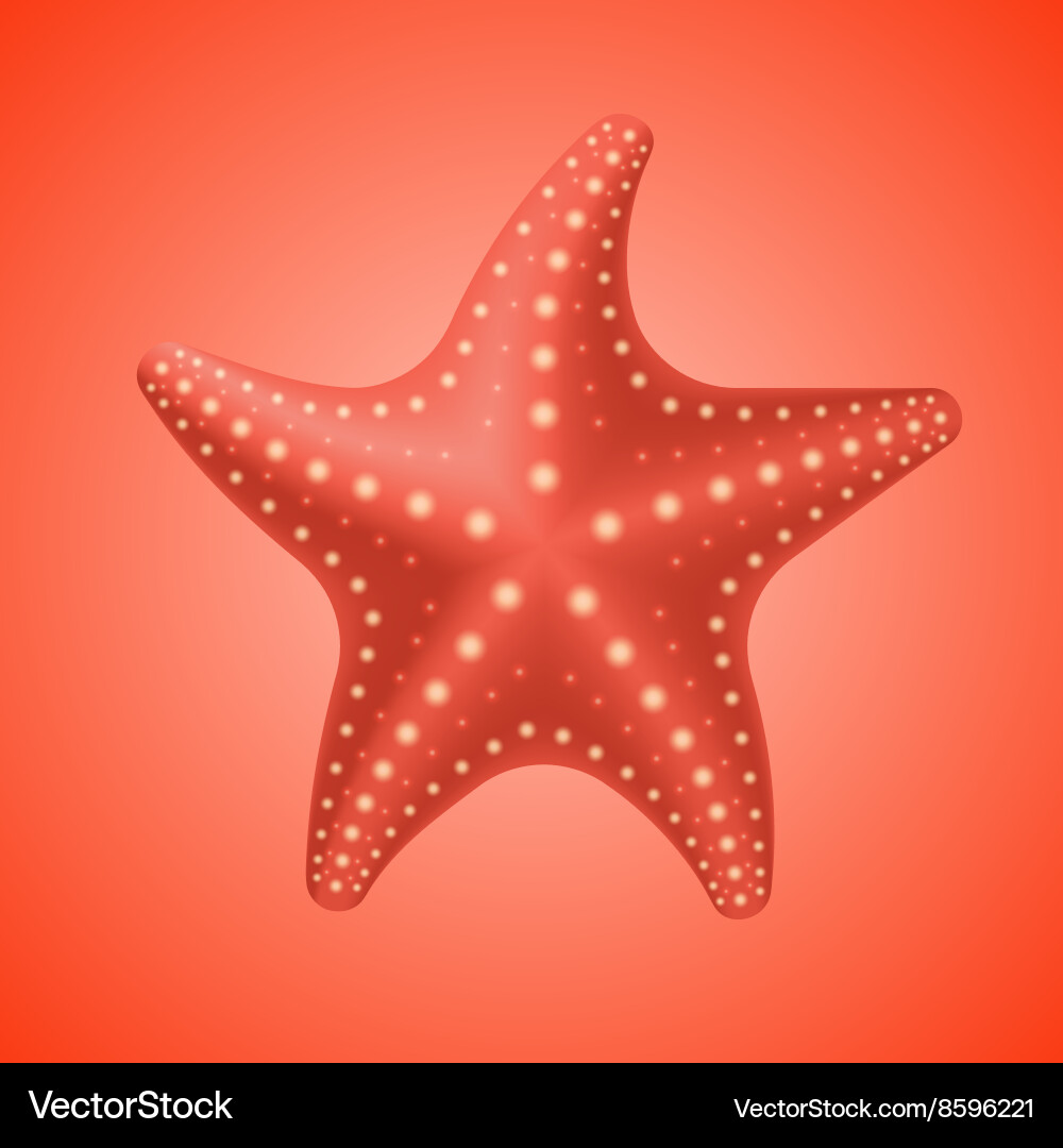 Realistic red starfish icon Royalty Free Vector Image