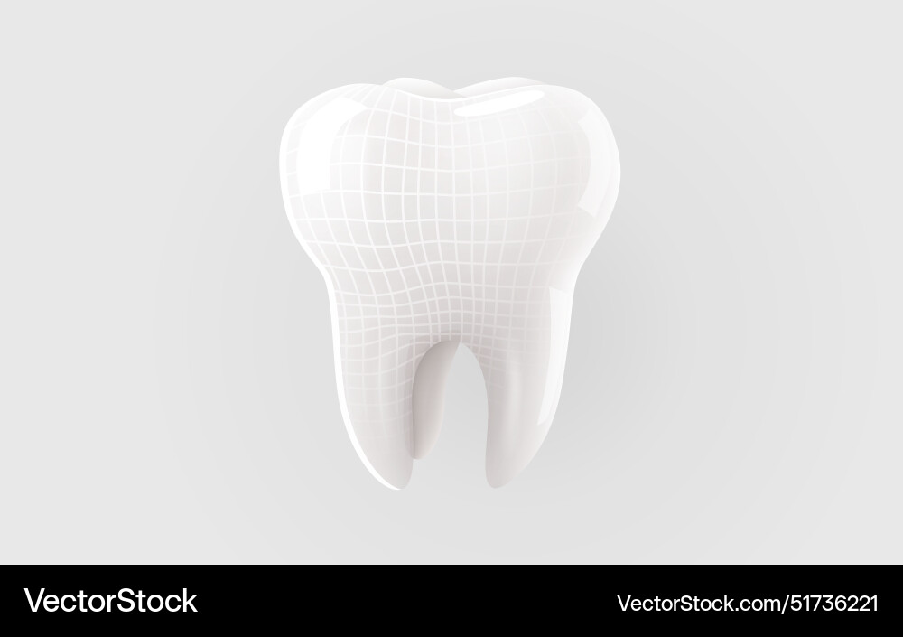 Tooth with wireframe isolated on white background Vector Image