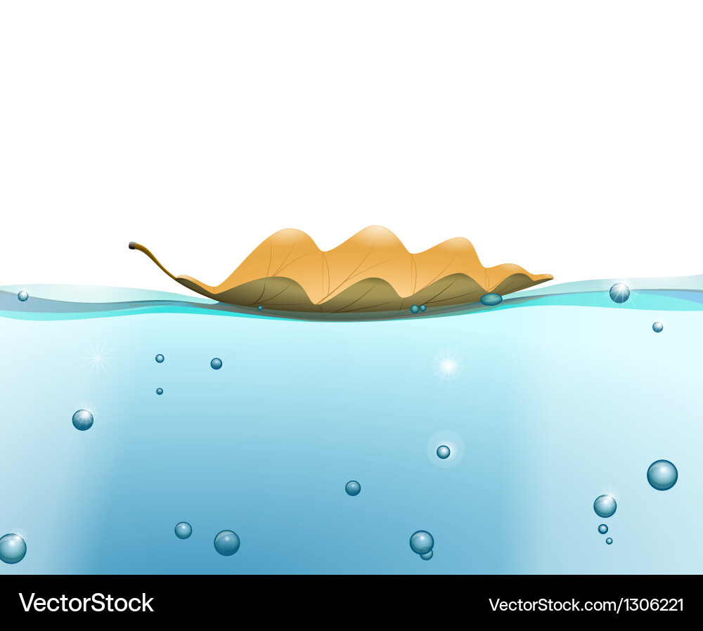 Water Surface with Floating Leaf Royalty Free Vector Image