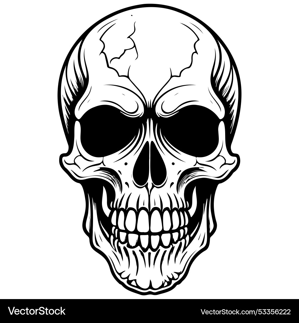 Isolated cartoon skull sketch realistic line Vector Image