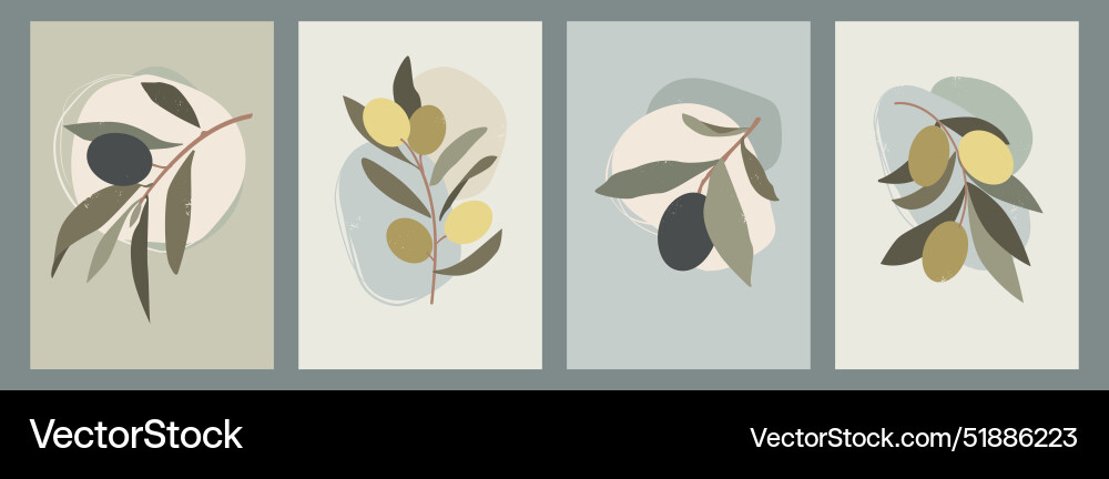 Abstract plants nature art olive branch modern Vector Image