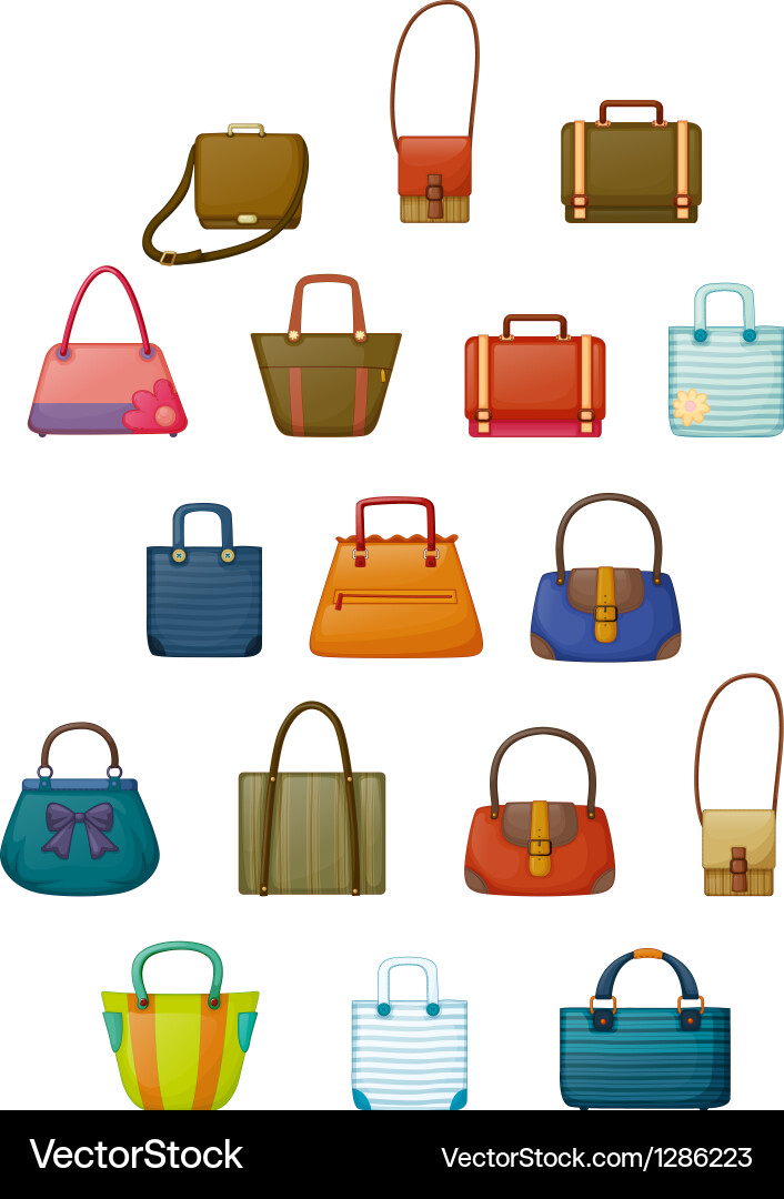 Different designs of bags Royalty Free Vector Image