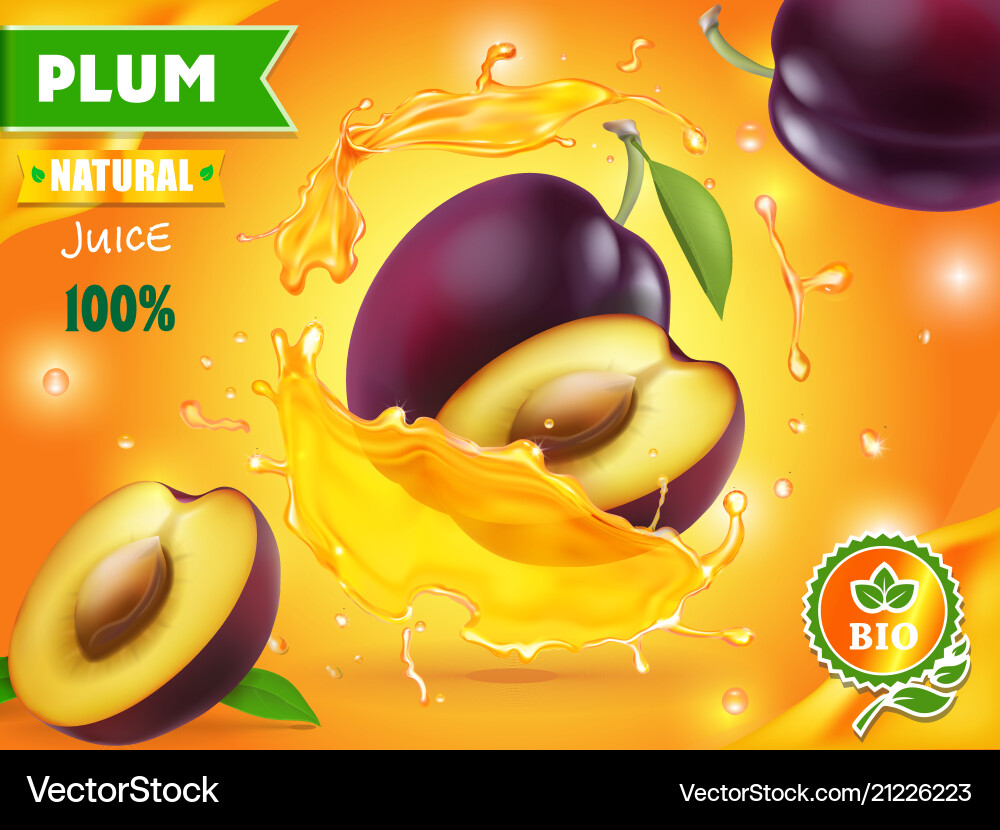 Plum juice advertising design with splah Vector Image