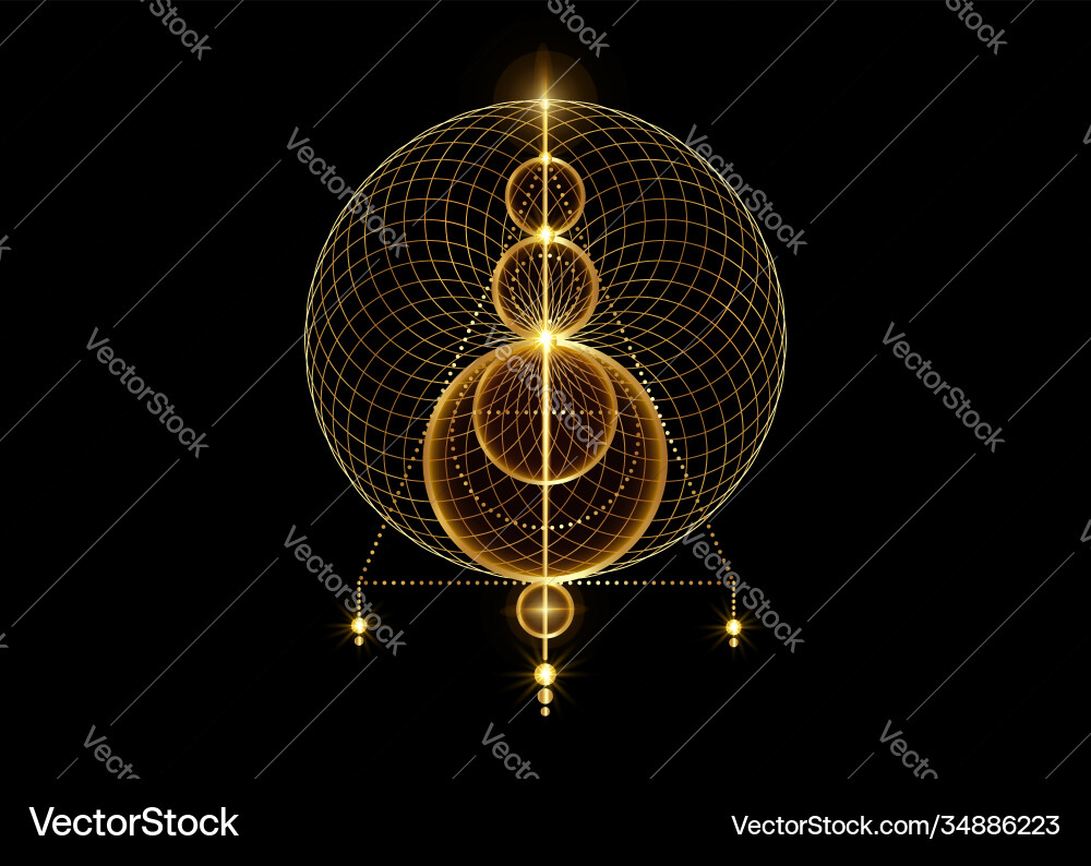 Sigil protection magic amulet sacred geometry Vector Image