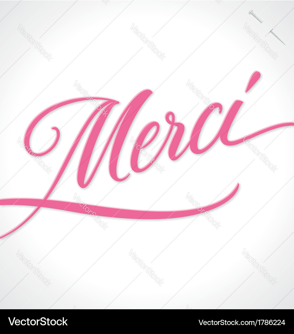 Elegant Merci Calligraphy Royalty Free Vector Image