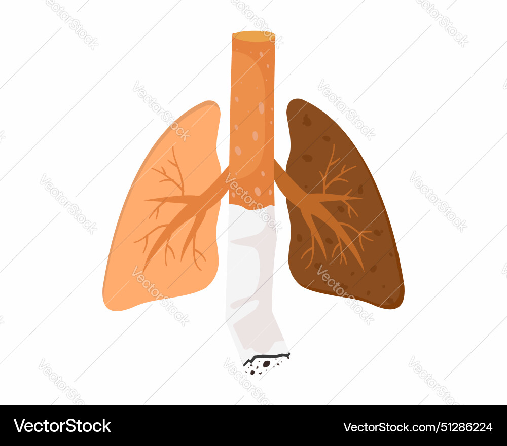 Lungs damage from smoking Royalty Free Vector Image