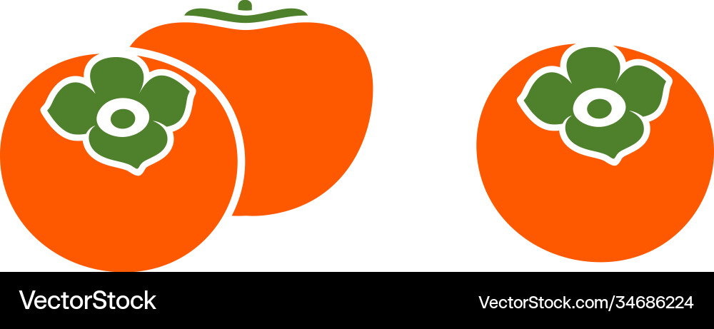 Persimmon Royalty Free Vector Image - VectorStock