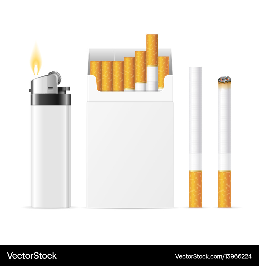 Realistic template blank white cigarette pack Vector Image