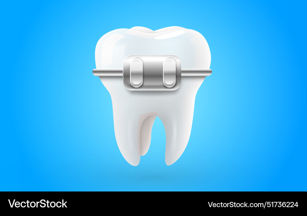 Tooth with bracket Royalty Free Vector Image - VectorStock