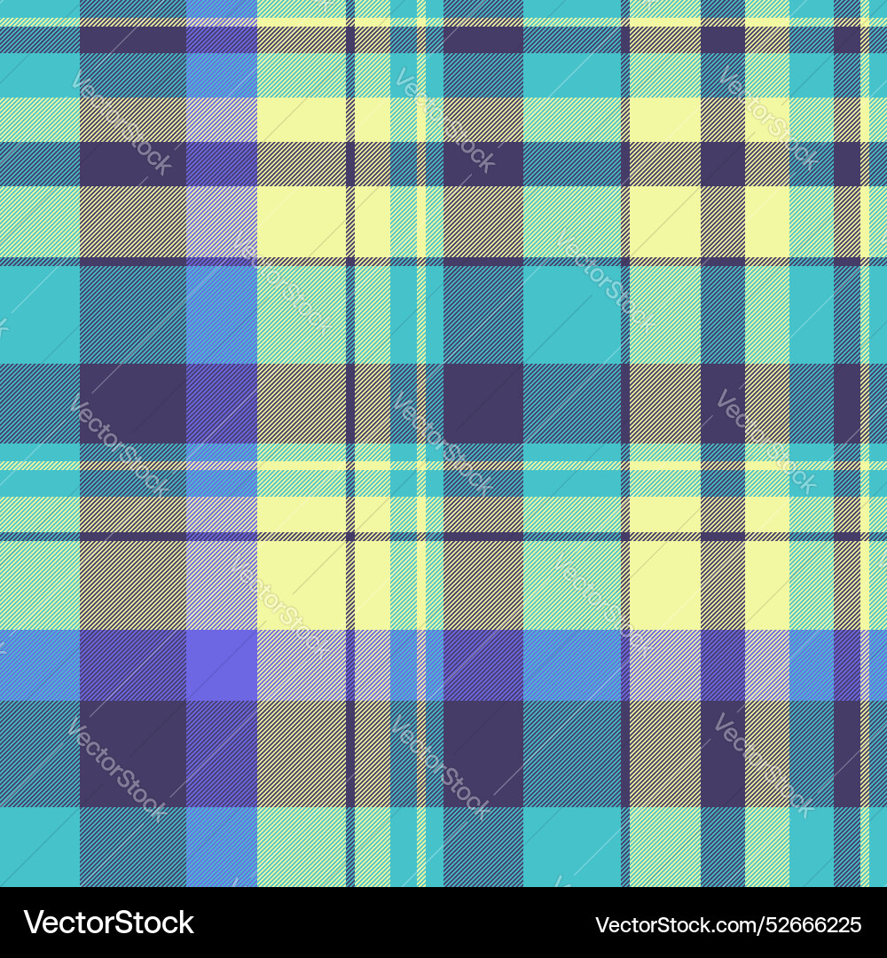 Antique texture textile pattern clan plaid Vector Image