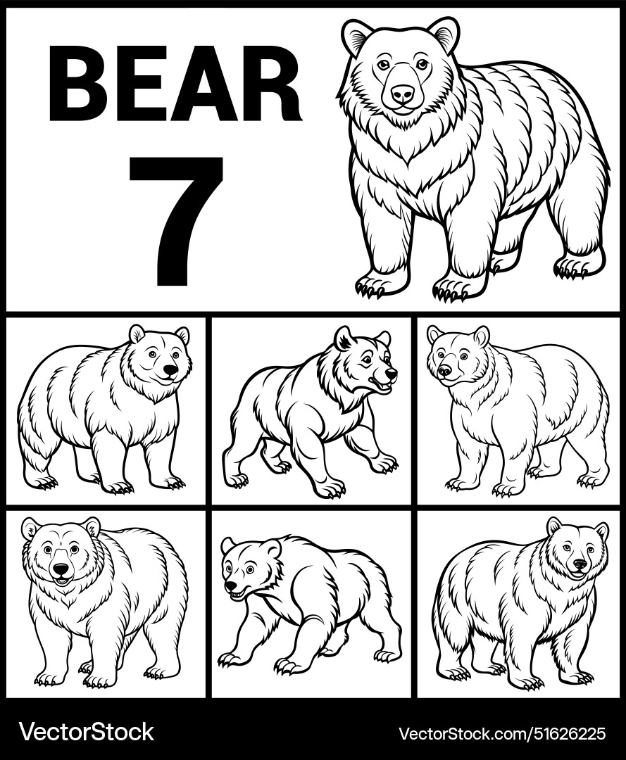 Bear outline set Royalty Free Vector Image - VectorStock