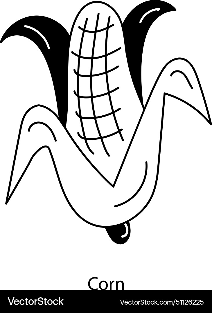 Corn Royalty Free Vector Image - VectorStock