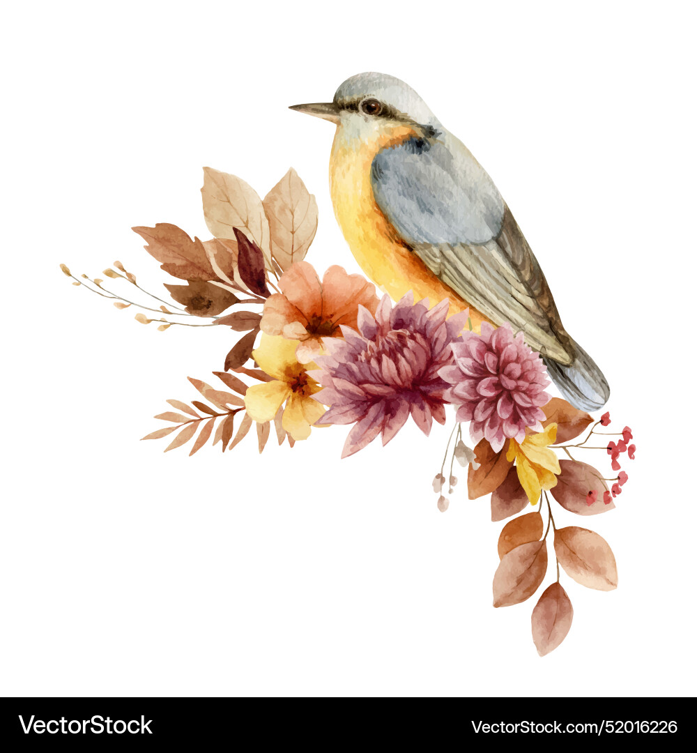 Feather Clipart Vector Images (over 11,000)