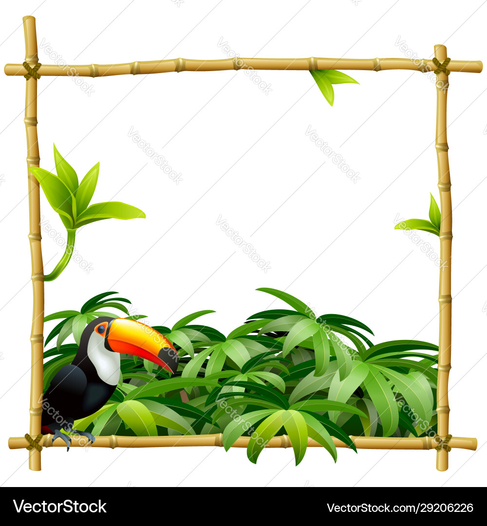 Bamboo tropical frame Royalty Free Vector Image