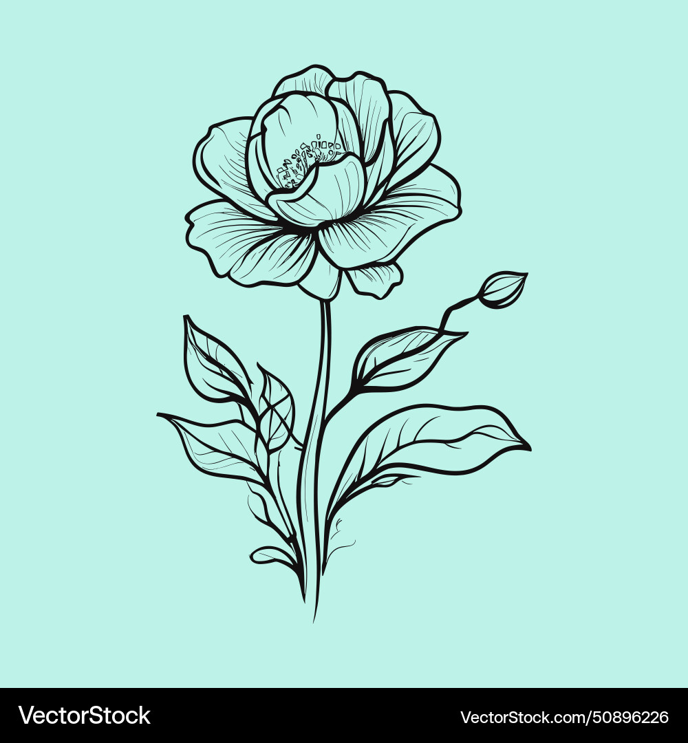 Rose with leaves line art Royalty Free Vector Image