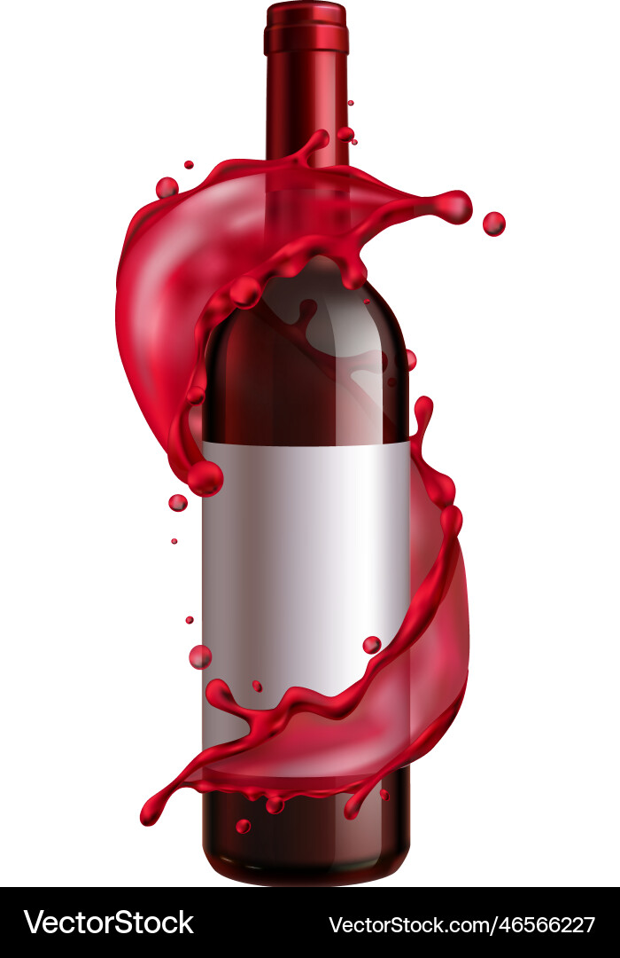 Realistic wine splashes Royalty Free Vector Image