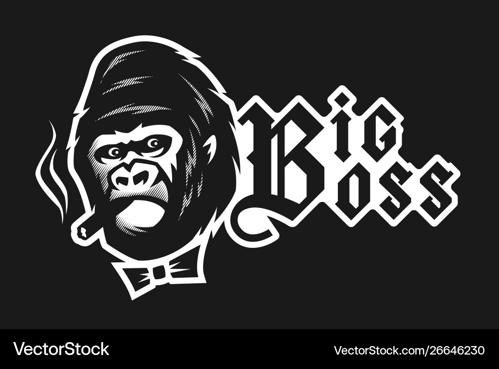 Big boss angry gorilla with a cigar on dark Vector Image