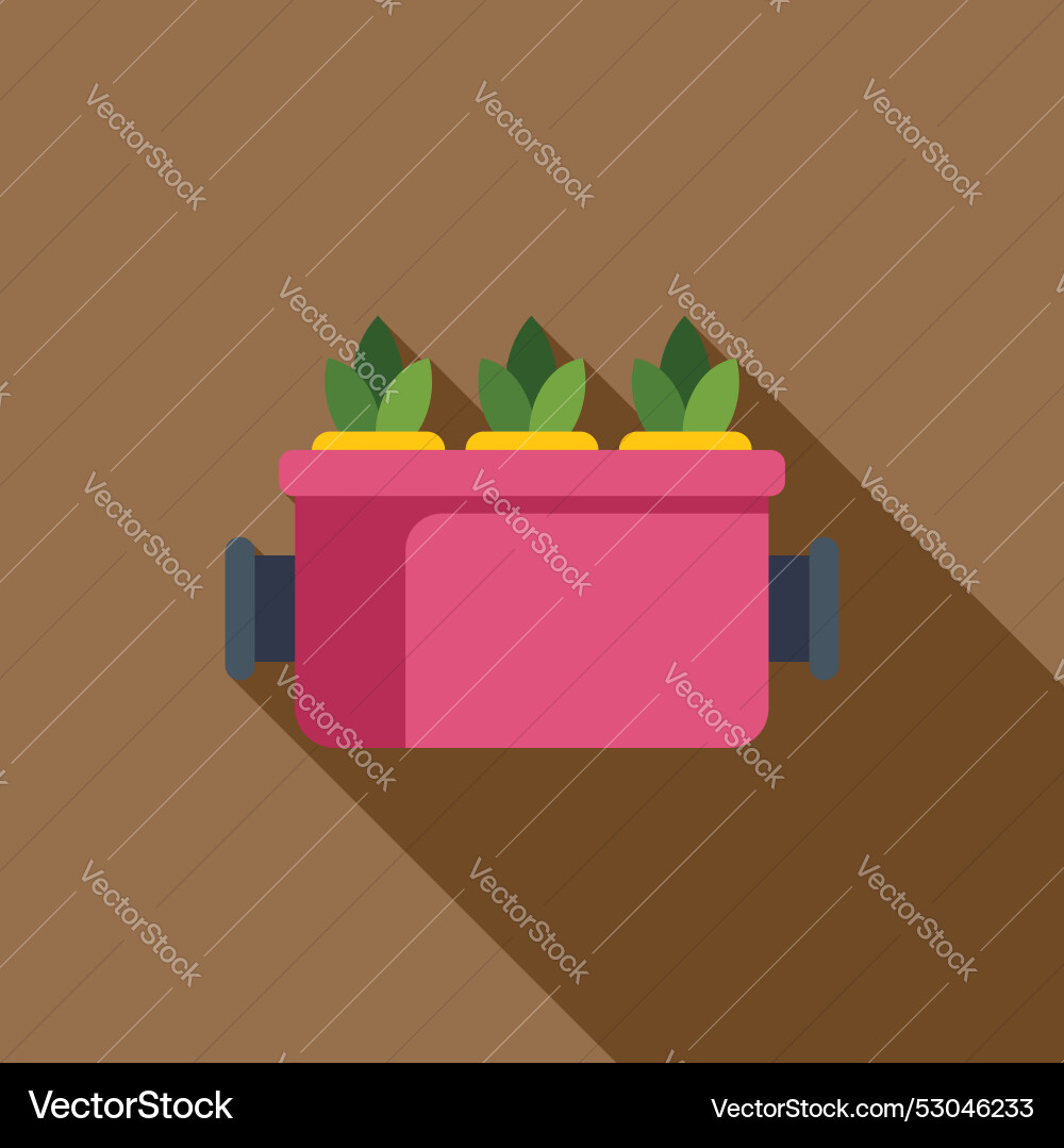 Hydroponic system growing plants using mineral Vector Image