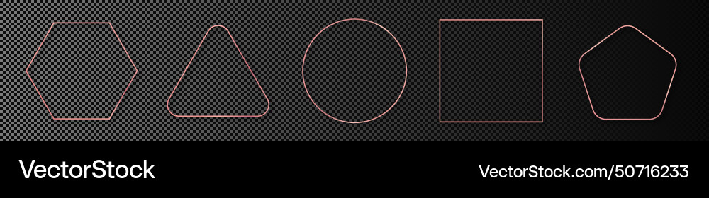 Rose gold glowing different geometric shape frame Vector Image