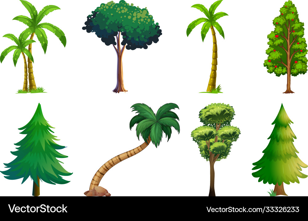 Set variety plants and trees Royalty Free Vector Image
