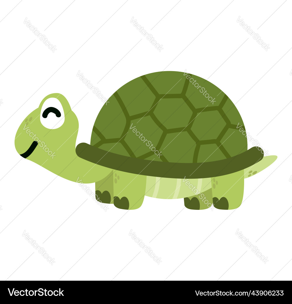 Turtle wild animal cartoon Royalty Free Vector Image