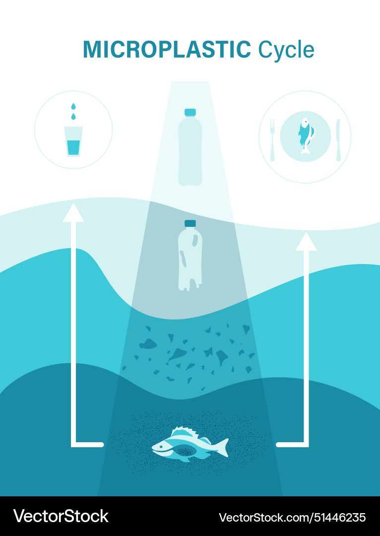 Cartoon color microplastic cycle concept poster Vector Image