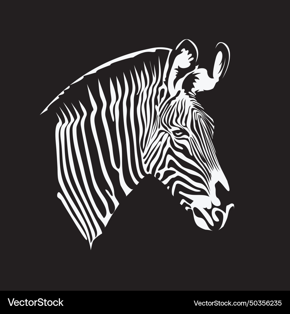 Drawing of a zebra Royalty Free Vector Image - VectorStock