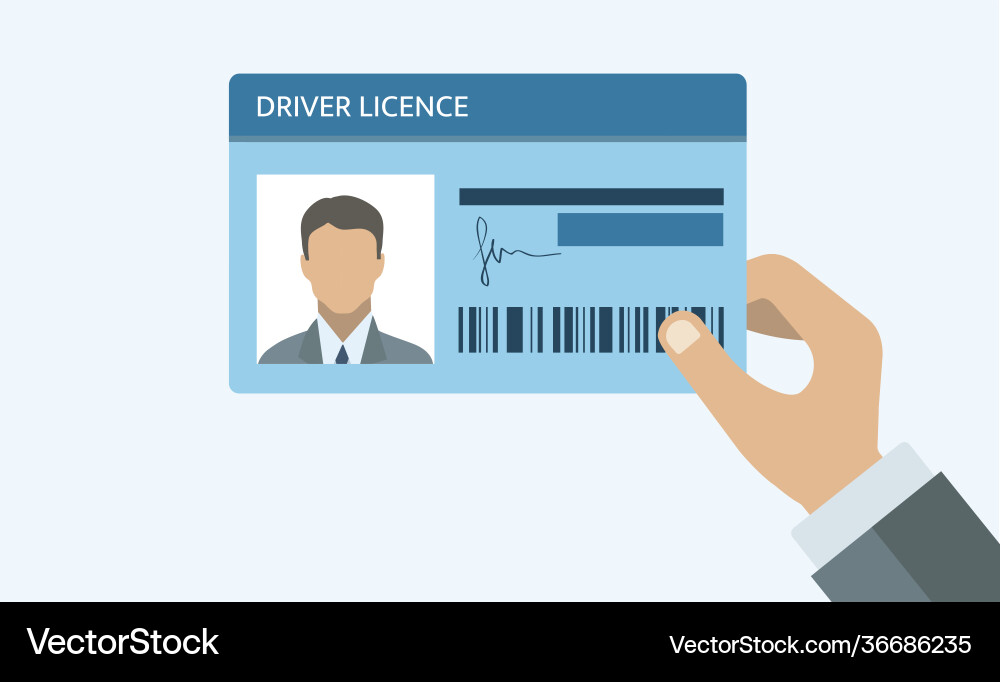 Hand holding driver license id card Royalty Free Vector